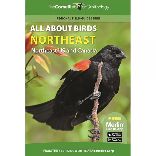 All About Birds Northeast – Feed the Birds!