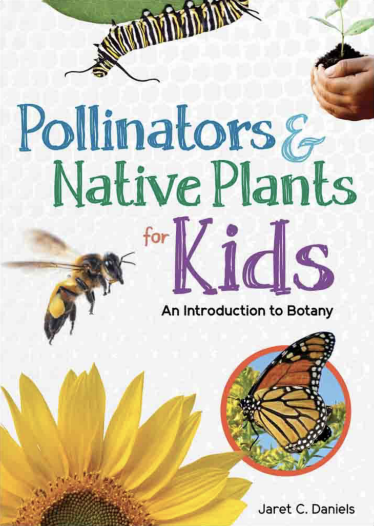 Pollinators & Native Plants for Kids – Feed the Birds!