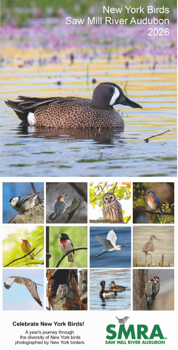 2026 Saw Mill River Audubon Calendar – Feed the Birds!